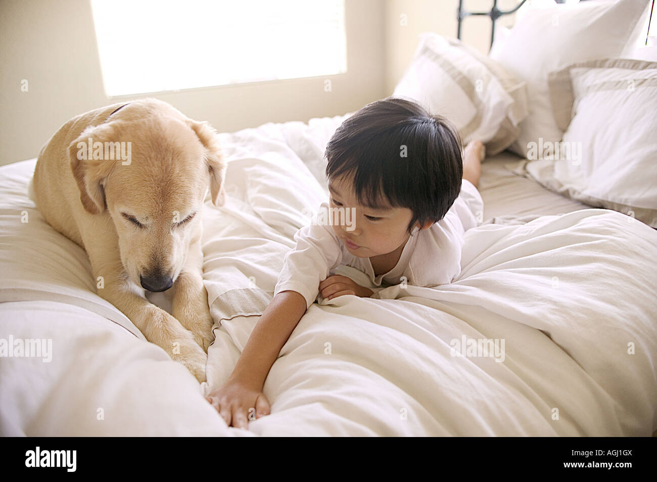 Young Boy Touching Dog's Paw Stock Photo - Alamy