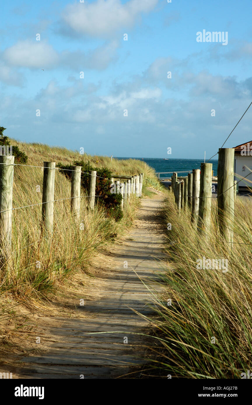Boardwalk Through Sand Dunes, Sandbanks, Poole, Dorset Stock Photo - Alamy