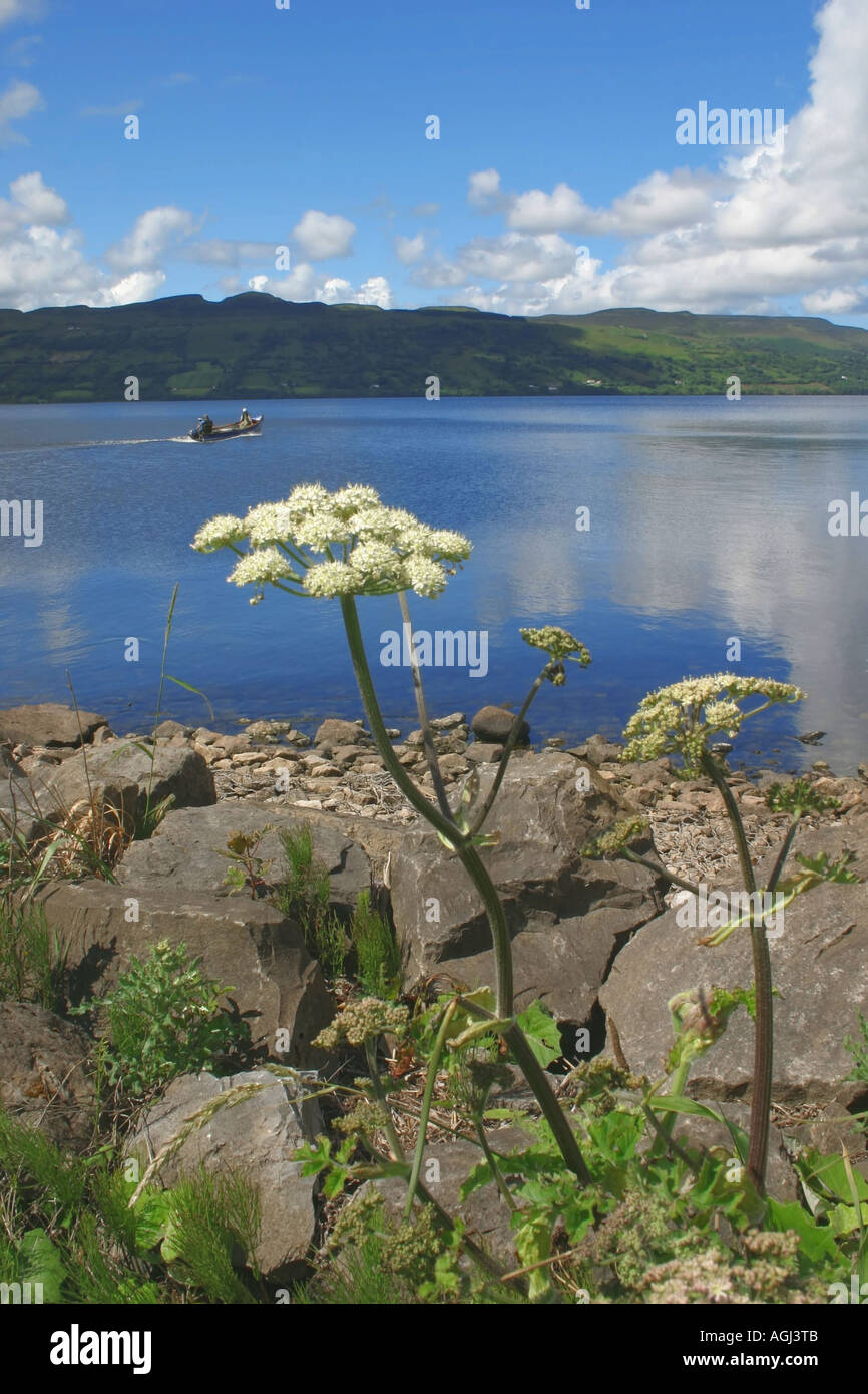 small fishing boat heading out into Lough Melvin near village of ...