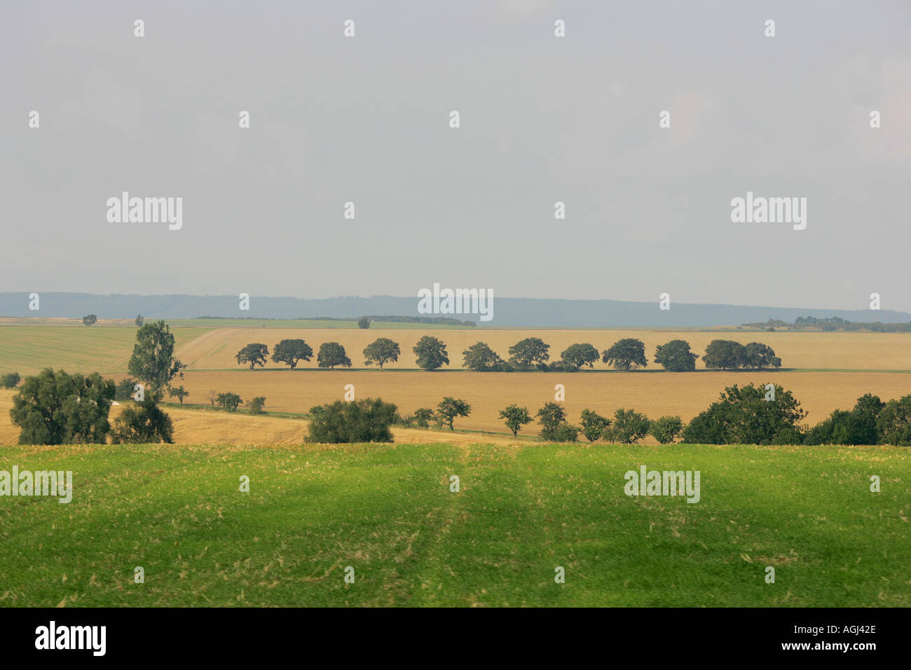 Germany grain harvest new hi-res stock photography and images - Alamy