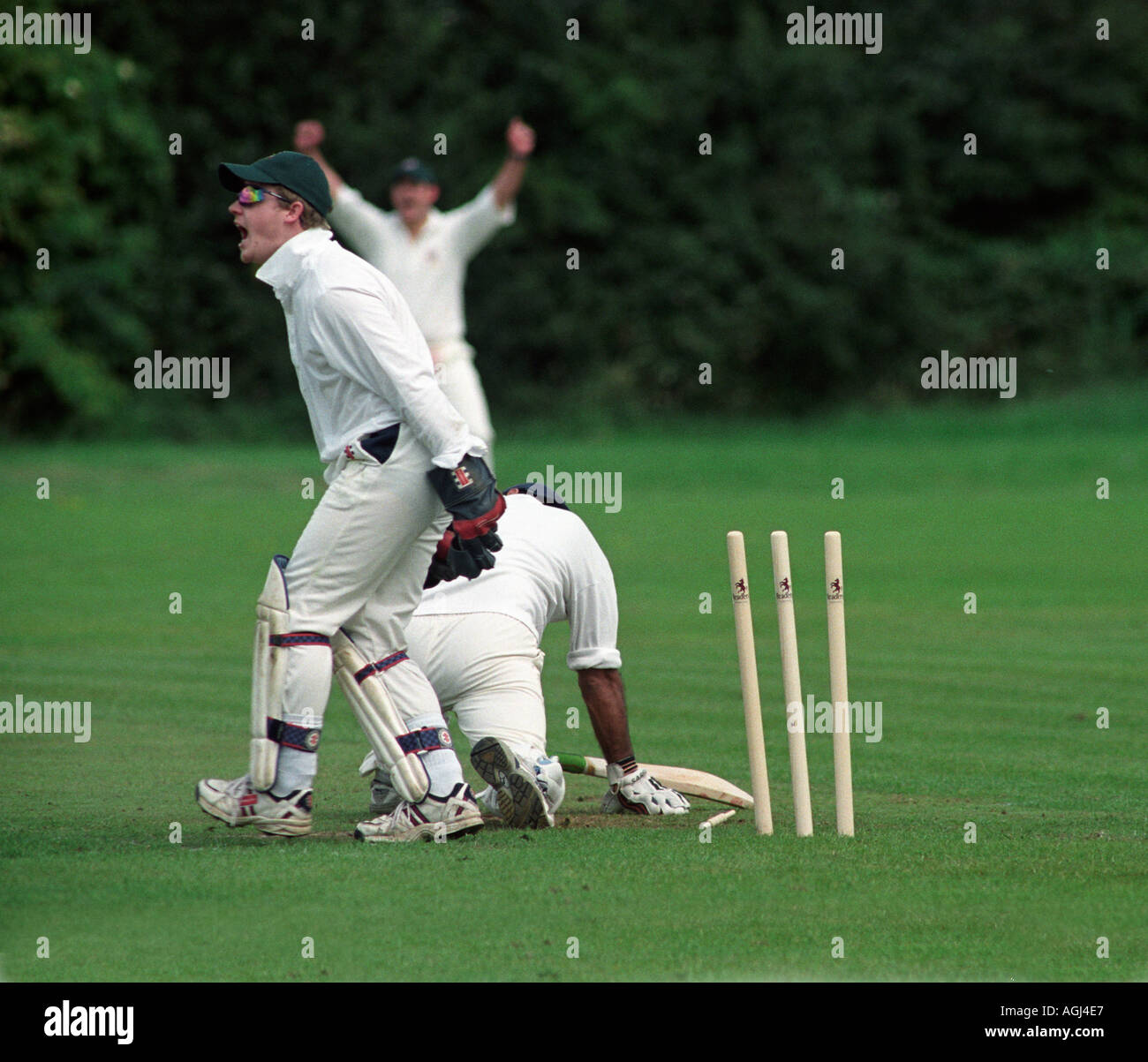 Cricket cricketers appeal hi-res stock photography and images - Alamy