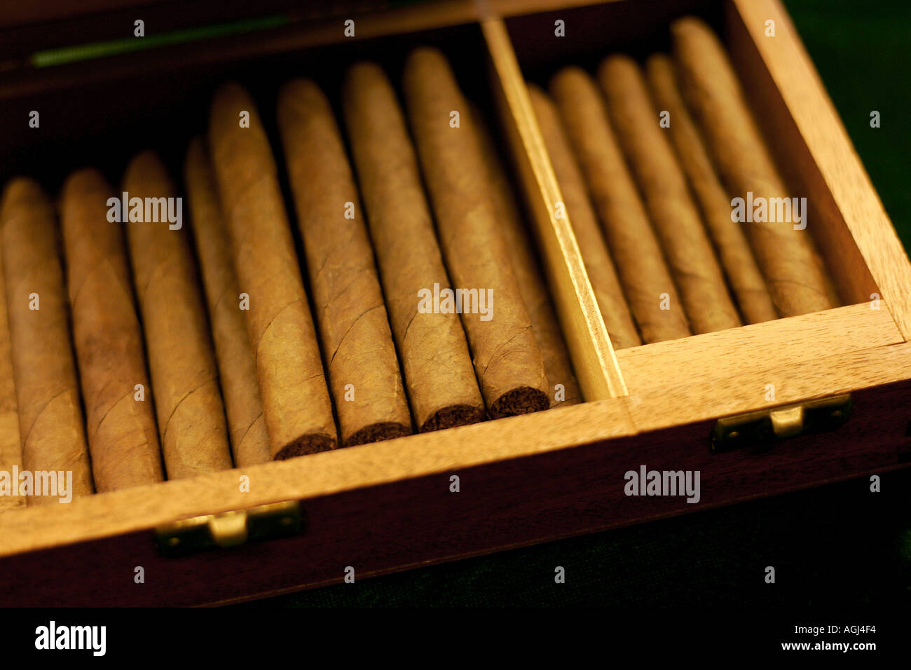 Box of cigars Stock Photo - Alamy