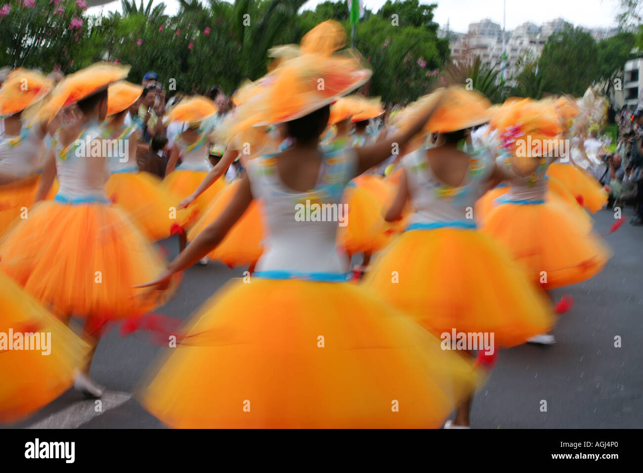 Madeira Funchal Spring Flower Festival Stock Photo - Alamy
