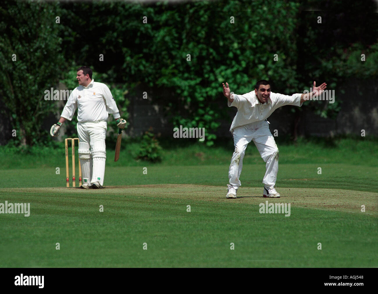 Cricket appeal hi-res stock photography and images - Alamy