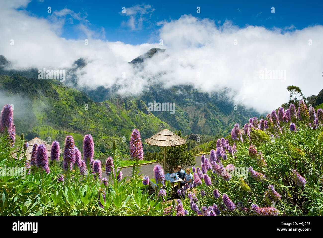 Beautiful landscape scenery madeira hi-res stock photography and images ...