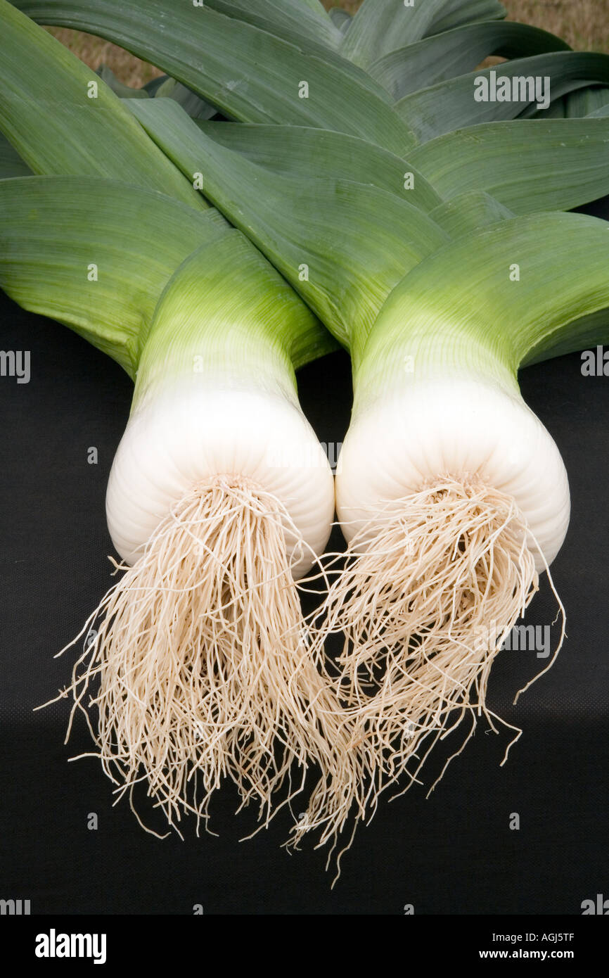 Long thin leeks hi-res stock photography and images - Alamy