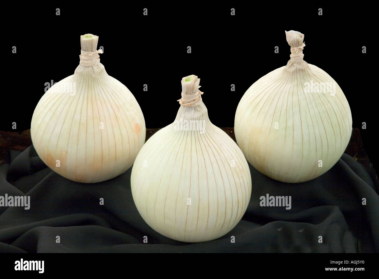 English giant vegetable hi-res stock photography and images - Alamy