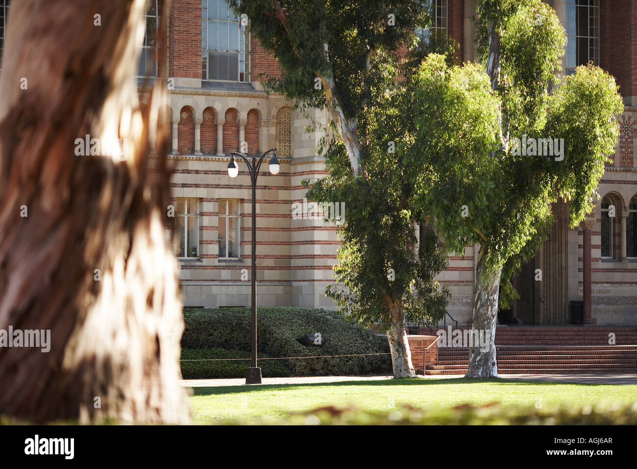Powell Library UCLA Campus, West Los Angeles, California, USA Stock ...
