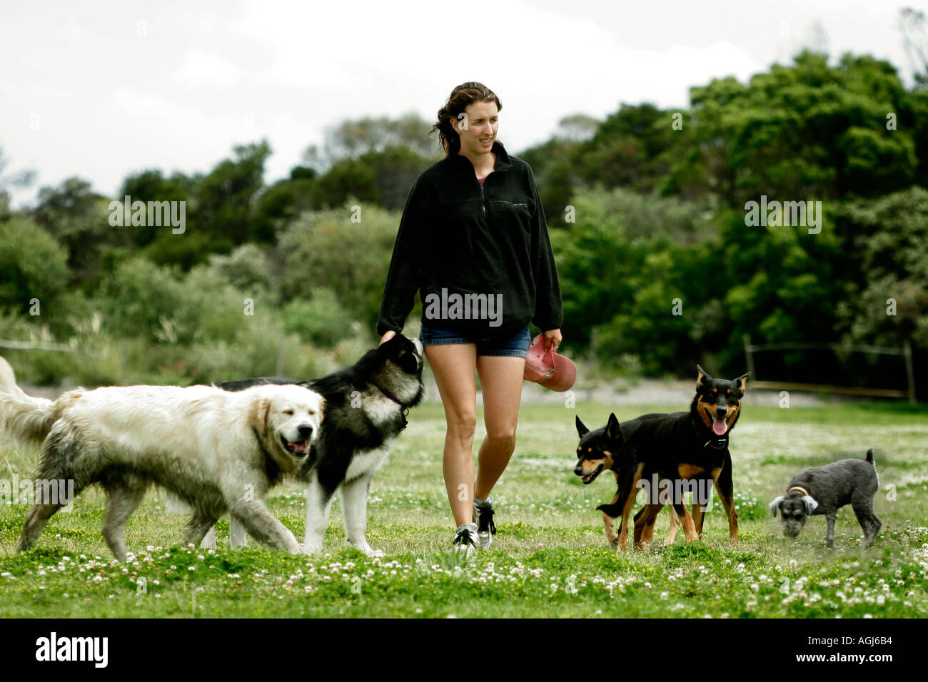 Woman and dogs walking hi-res stock photography and images - Alamy