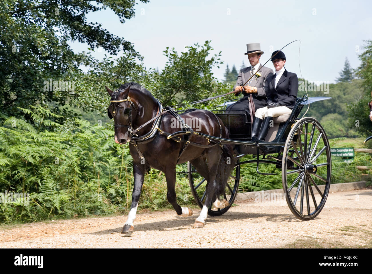 Two Wheeled Horse Drawn Carriage High Resolution Stock Photography and ...