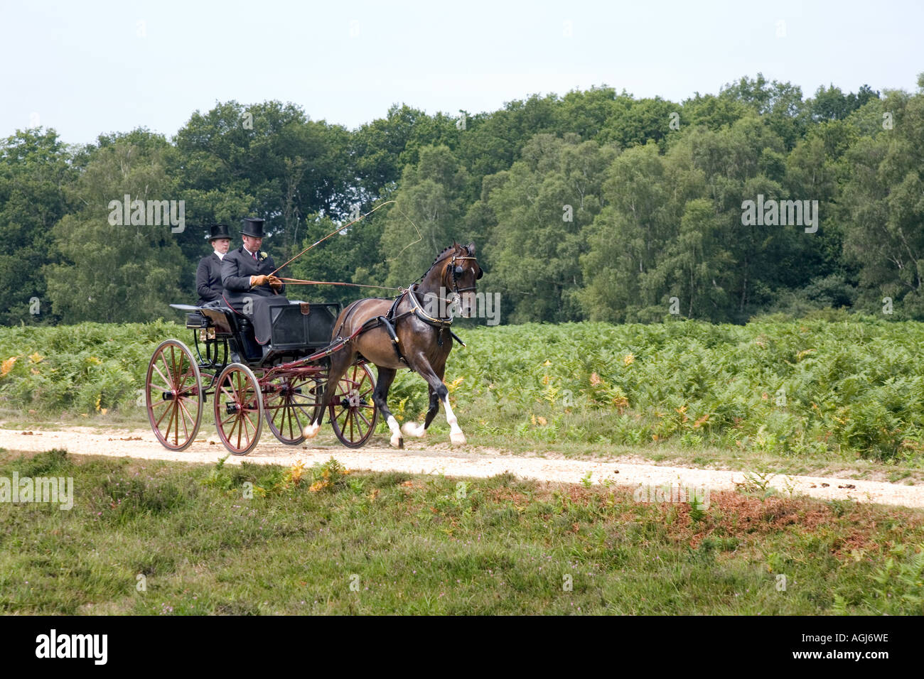 4 Four wheel private carriage being pulled by one horse on New Forest ...