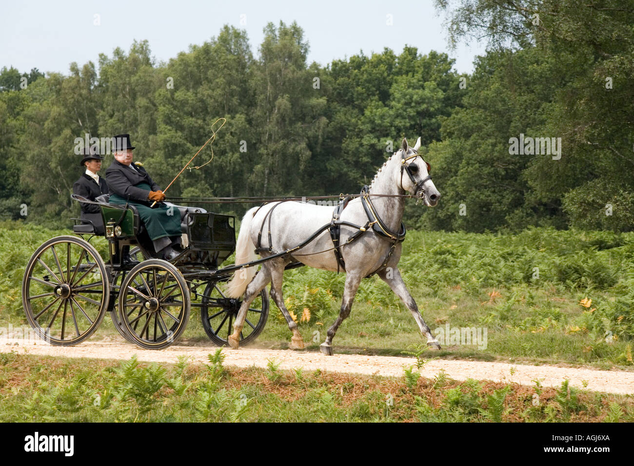 Four Wheeled Horse Drawn Carriage Stock Photos & Four Wheeled Horse ...