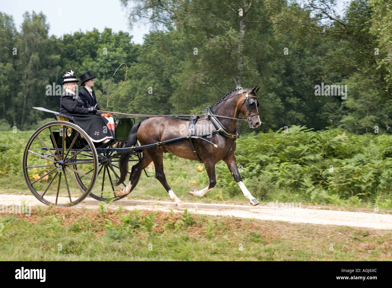 2 two wheel private carriage being pulled by one horse on New Forest ...