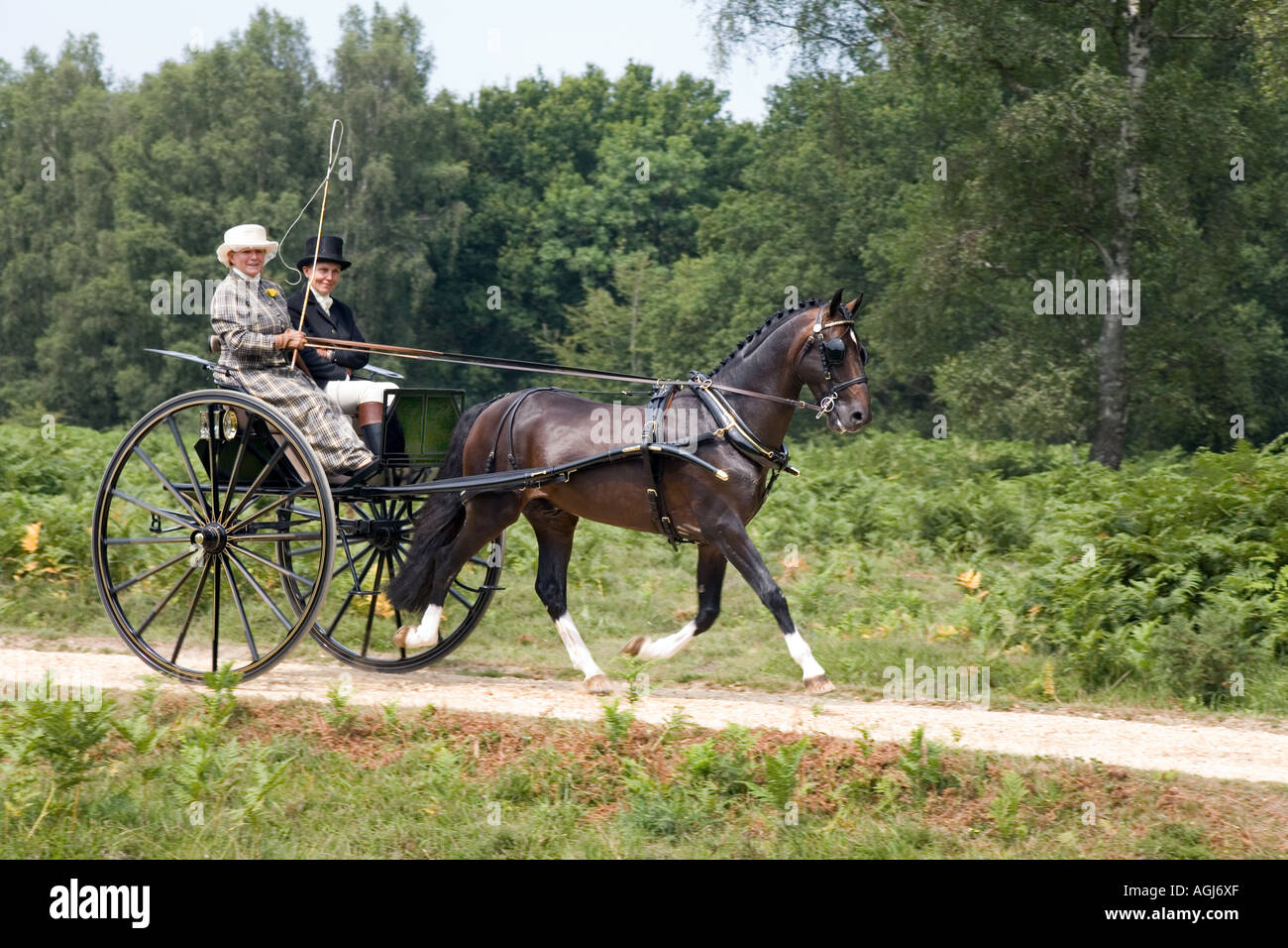 Two Wheeled Horse Drawn Carriage High Resolution Stock Photography and ...