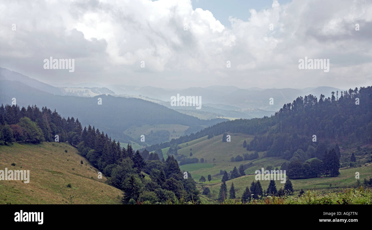 the black forest view panoramic Stock Photo - Alamy