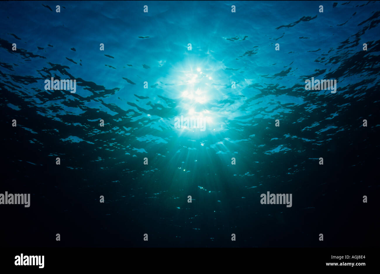 Sunlight filters through water Stock Photo - Alamy