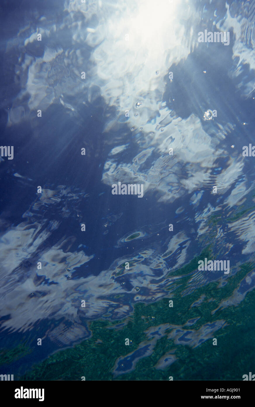 Underwater sun hi-res stock photography and images - Alamy