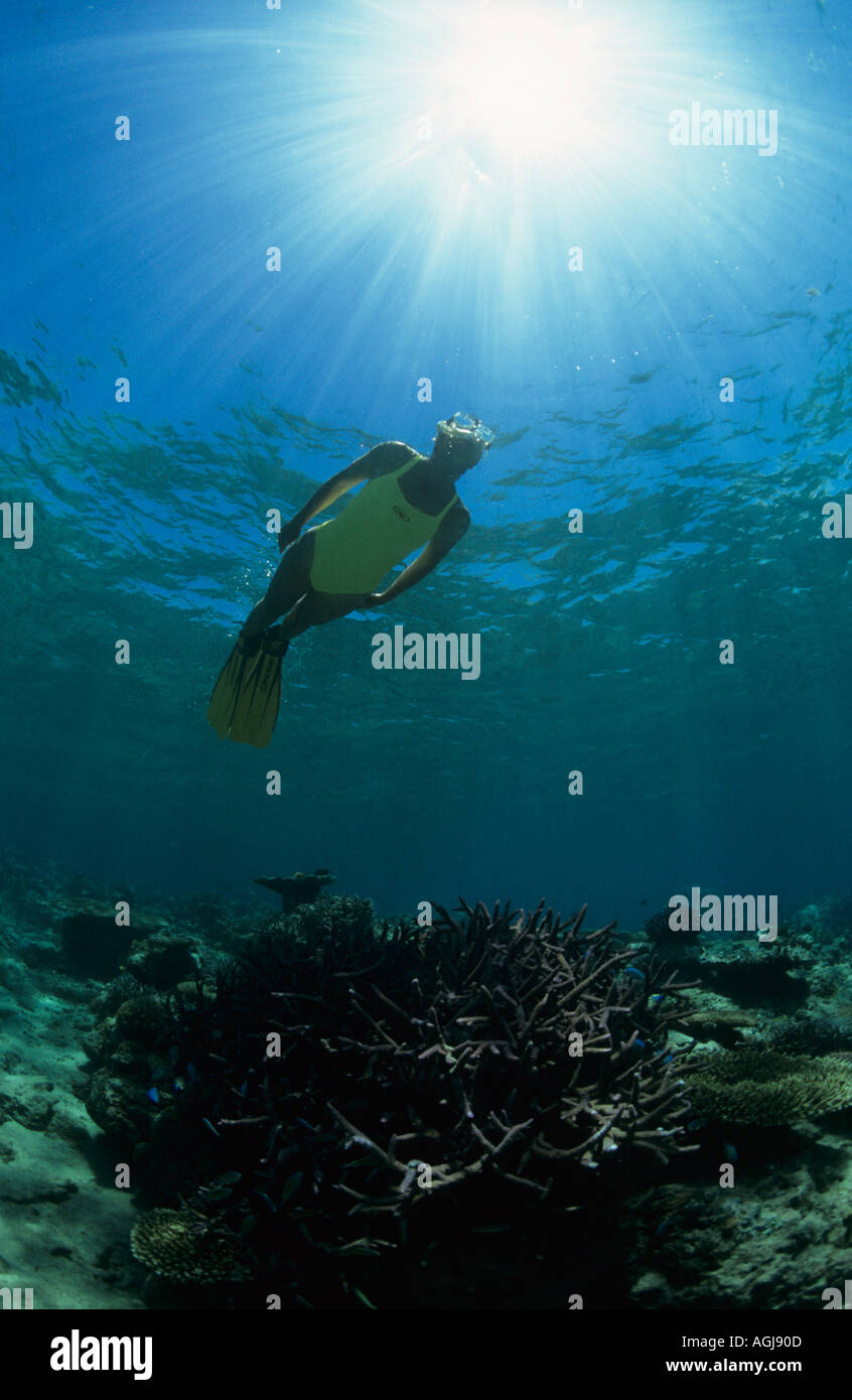 girl in yellow swimsuit swimming underwater Stock Photo - Alamy