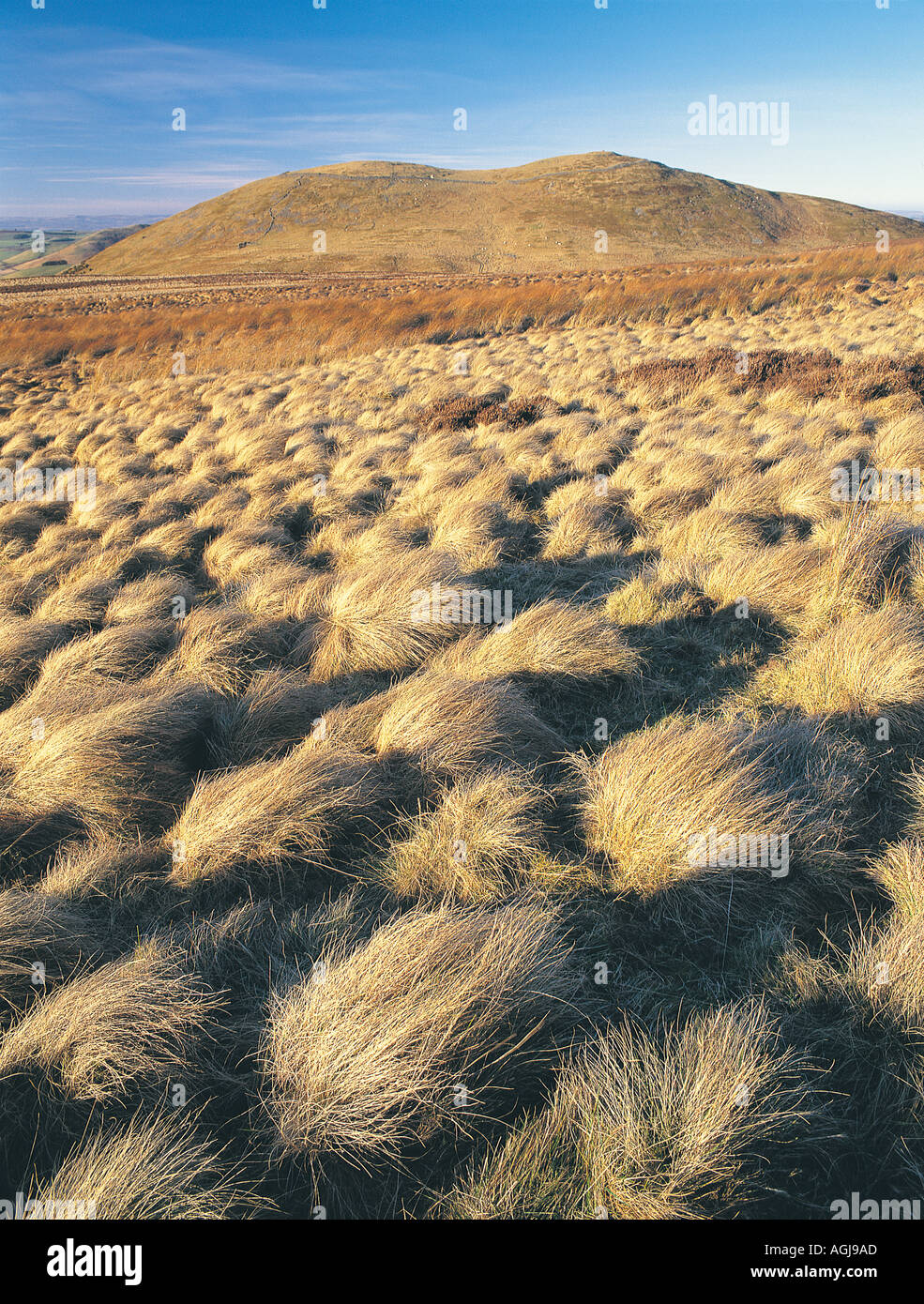 Yeavering Bell Iron Age Hillfort near Kirknewton Northumberland Stock ...