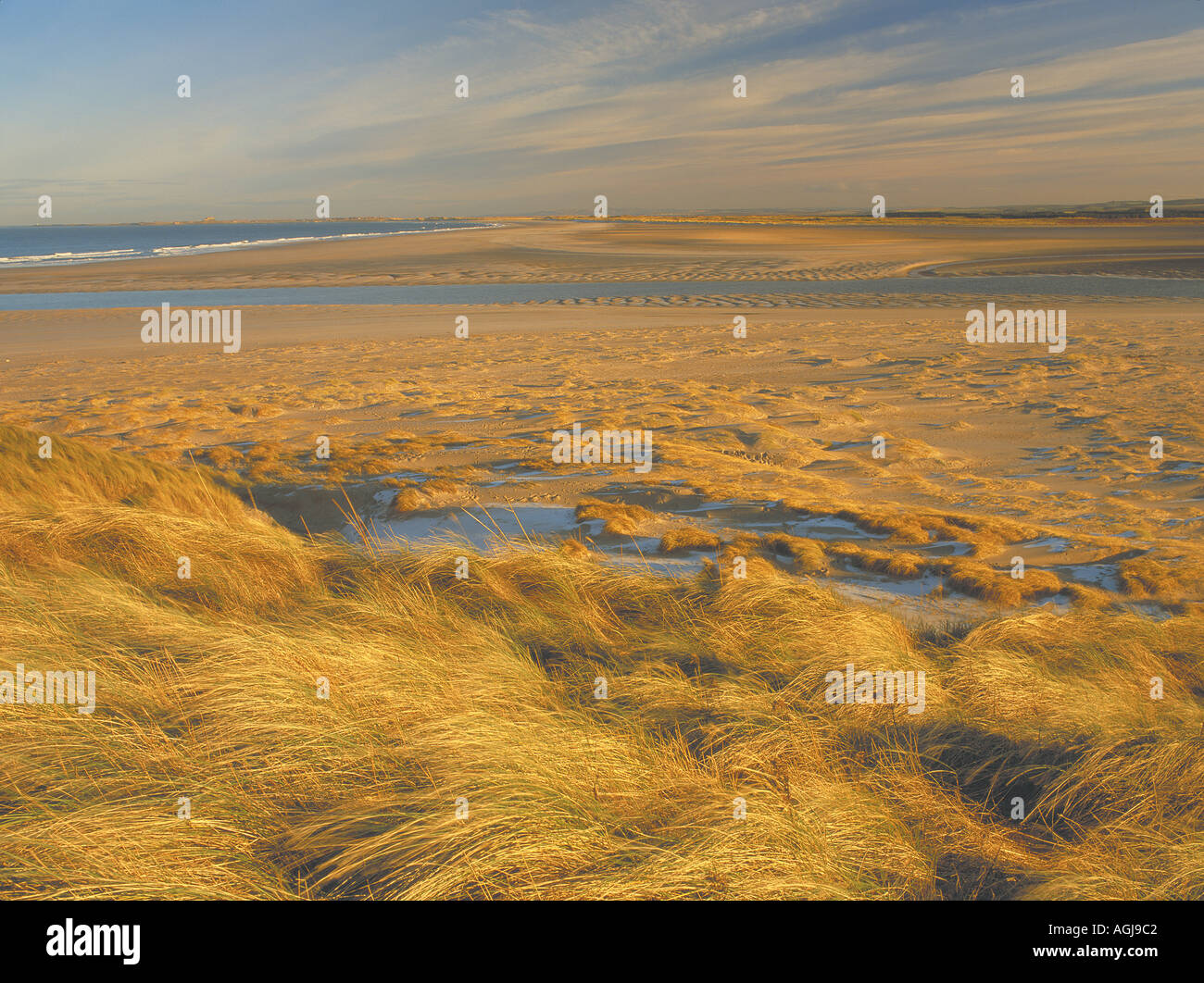 Budle Bay Northumberland Stock Photo - Alamy