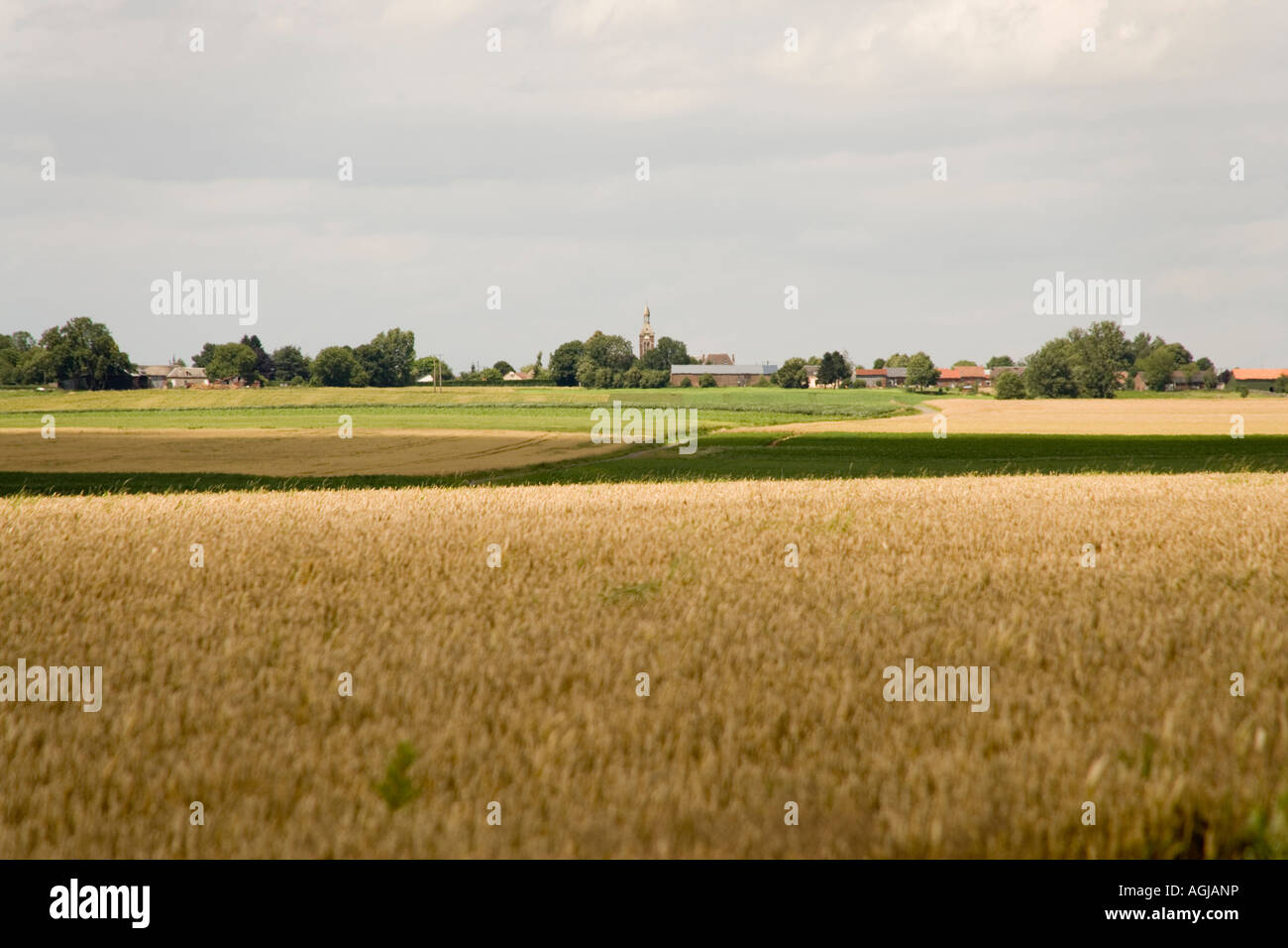 View from what was the British front line on 1 July 1916 looking over ...