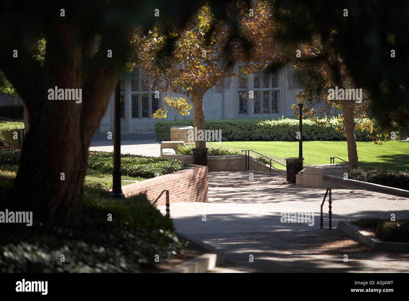 Bruin Walk with Trees UCLA Campus, West Los Angeles, California, USA ...
