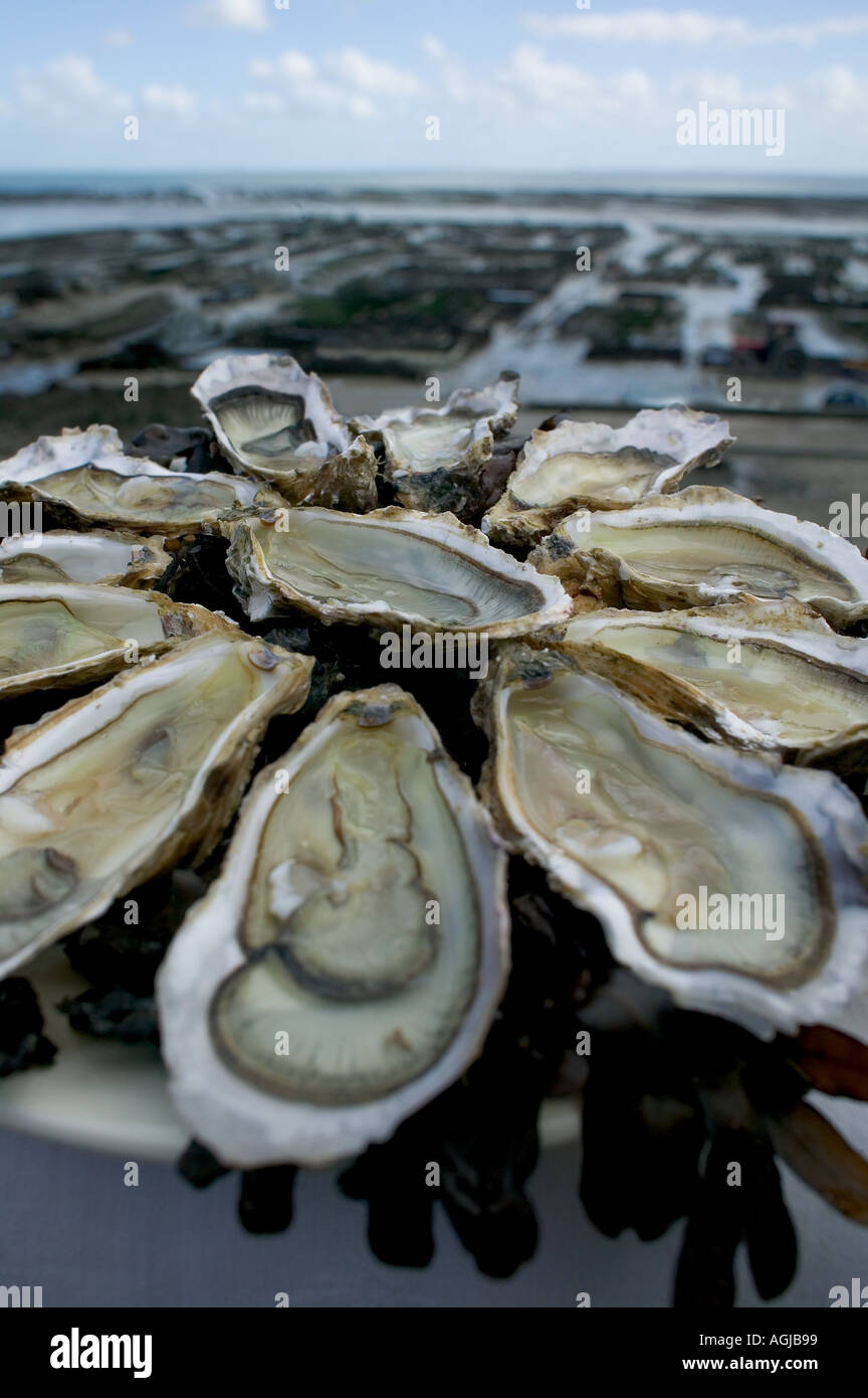 Famous breton oysters hi-res stock photography and images - Alamy