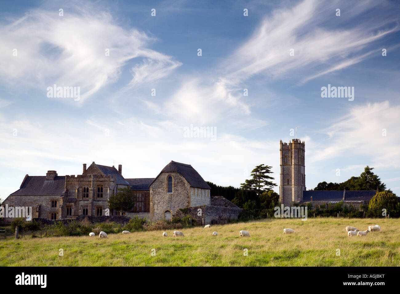 Muchelney Abbey and church near Langport on the Somerset Levels Stock ...