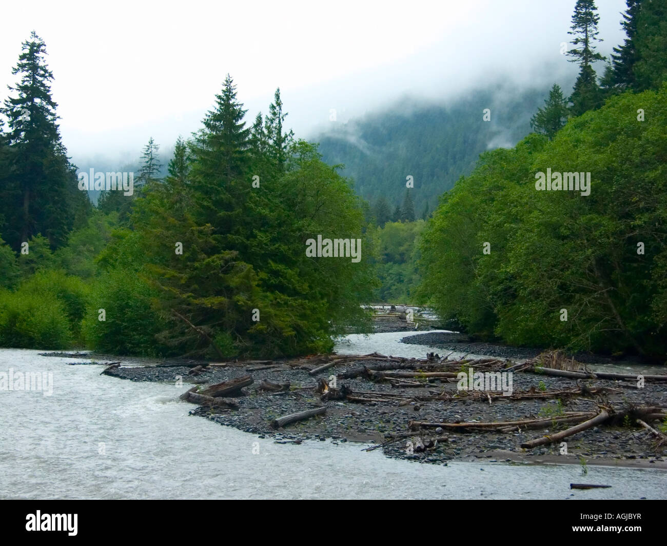White River, Mount Rainier National Park Stock Photo - Alamy