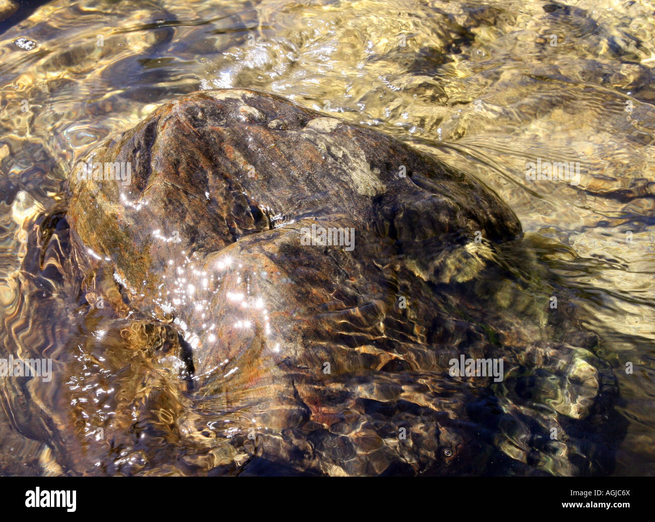 Clear cold water in a river running down the western face of the Sierra ...