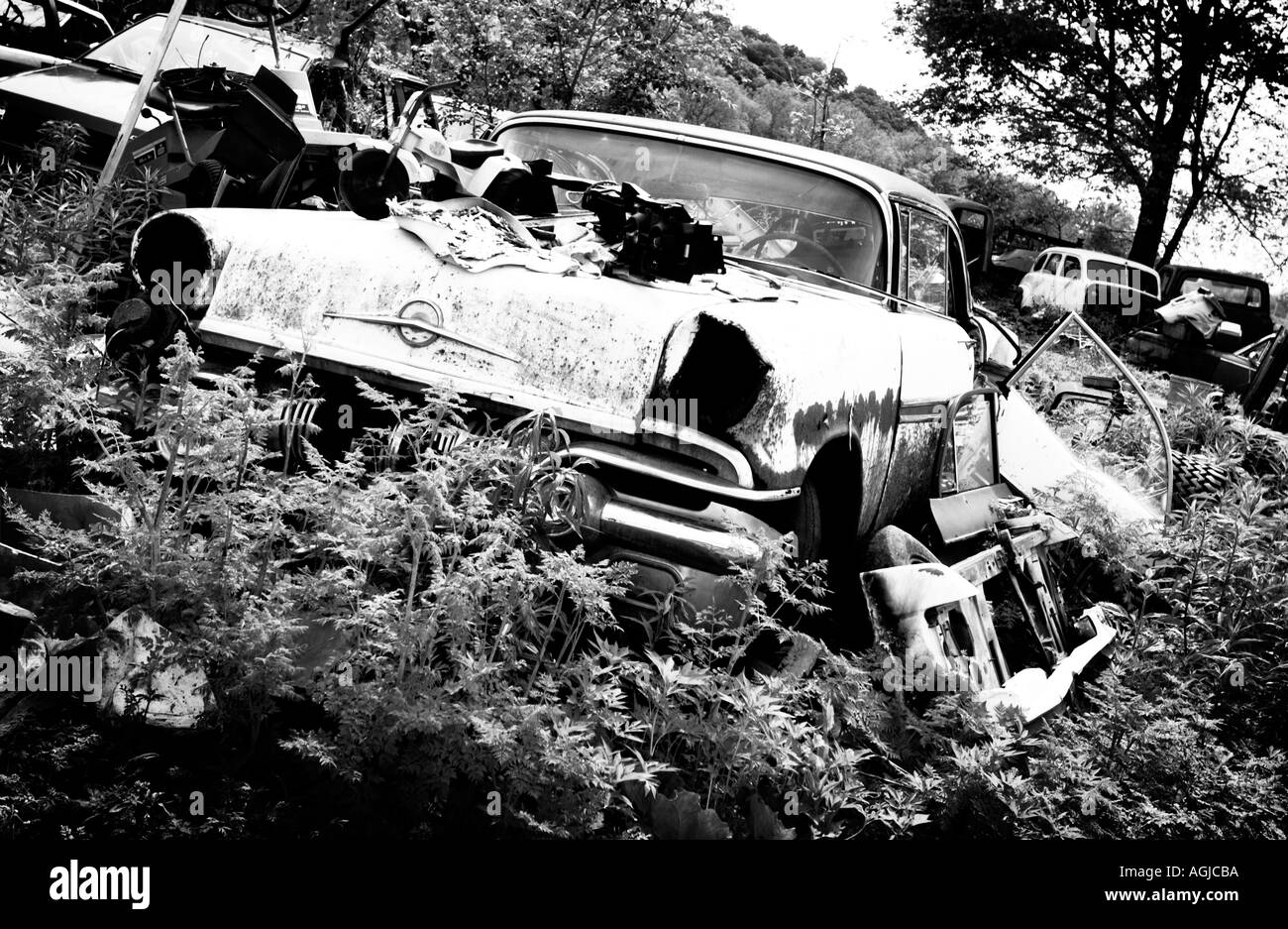 Garbage dump yard Black and White Stock Photos & Images - Alamy