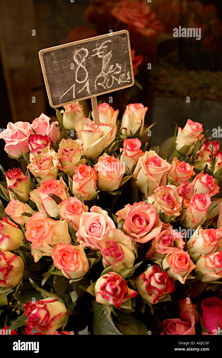 Eight pink roses hi-res stock photography and images - Alamy