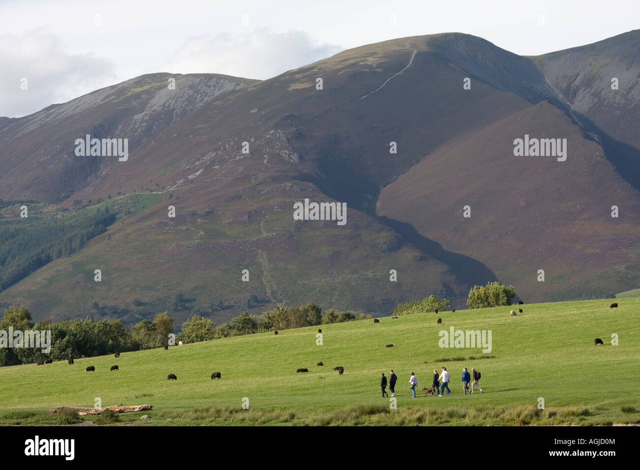 Crow Park lakeside green space in Keswick Cumbria UK Lake District ...