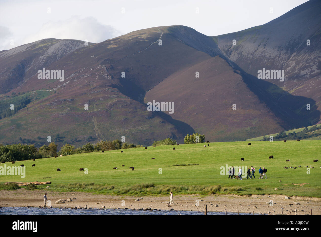Crow Park lakeside green space in Keswick Cumbria UK Lake District with ...
