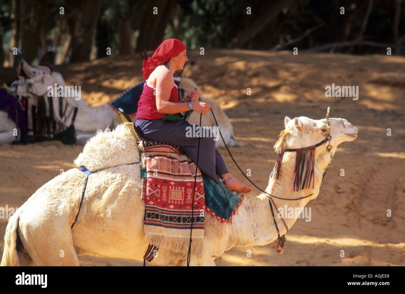 Beduin Girl High Resolution Stock Photography and Images - Alamy