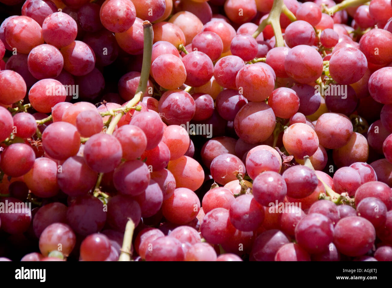 California grapes shine in the sun at the Santa Barbara Farmers market ...