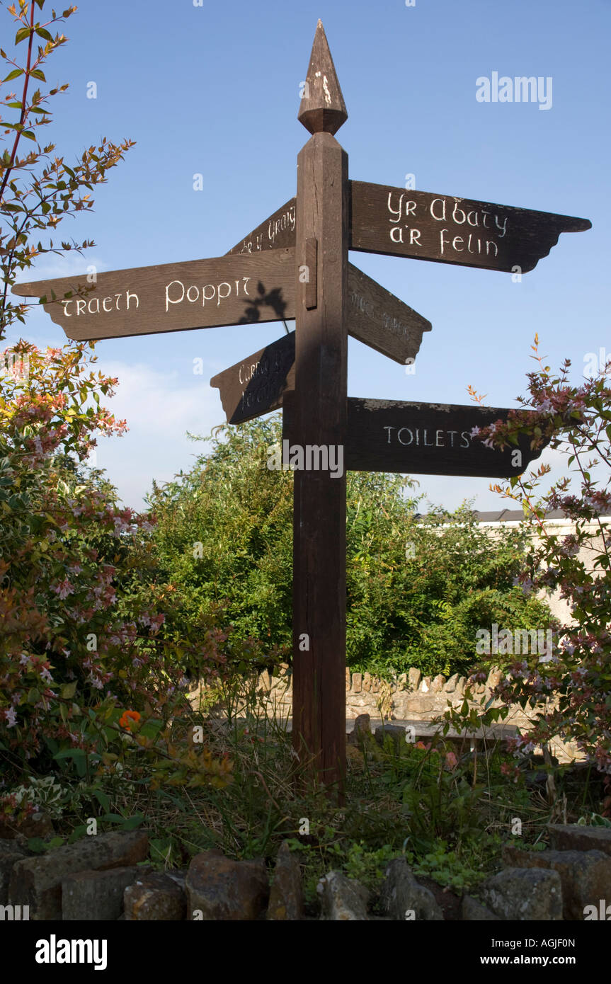 English pointers hi-res stock photography and images - Alamy