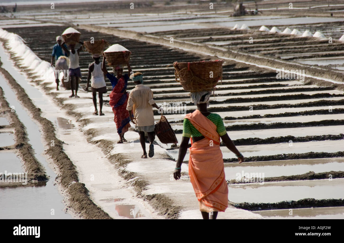 Workers at salt fields near Mamallapuram, between Chennai and ...
