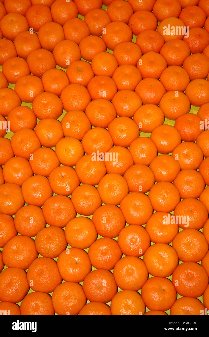Mandarines on display Agricultural show dsc 2178 Stock Photo - Alamy
