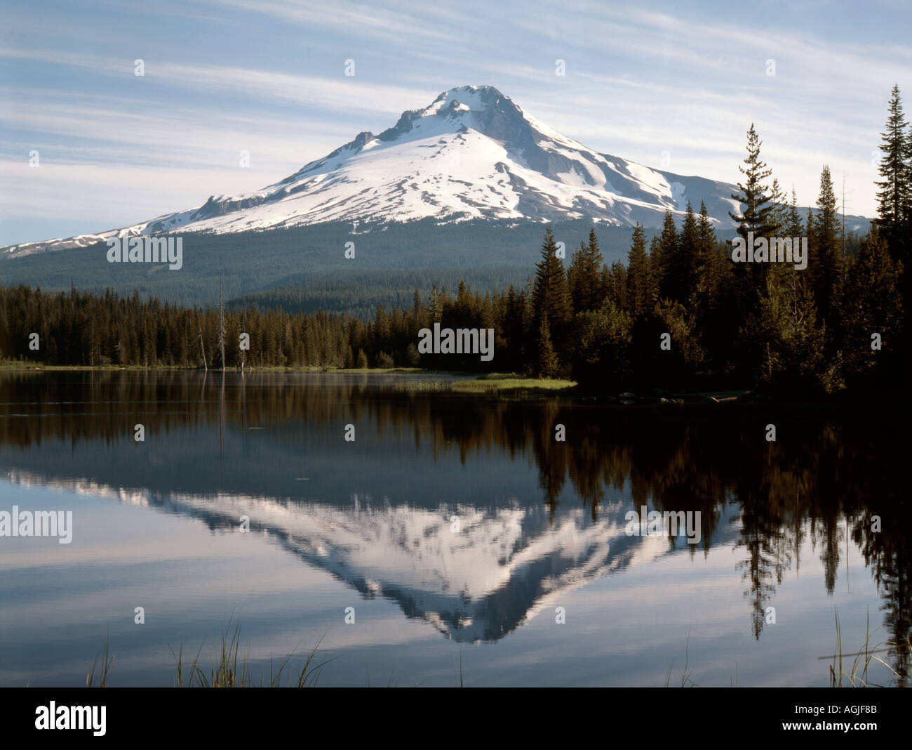 Trillium Lake and towering snowcovered Mount Hood in Oregon Stock Photo ...