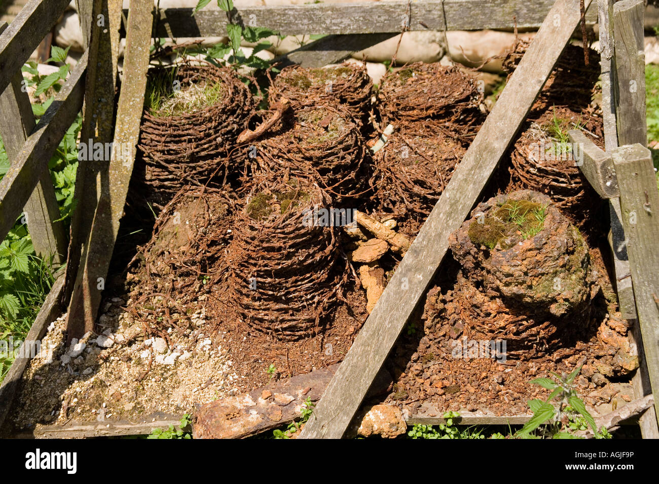 Trenches trench tea hi-res stock photography and images - Alamy