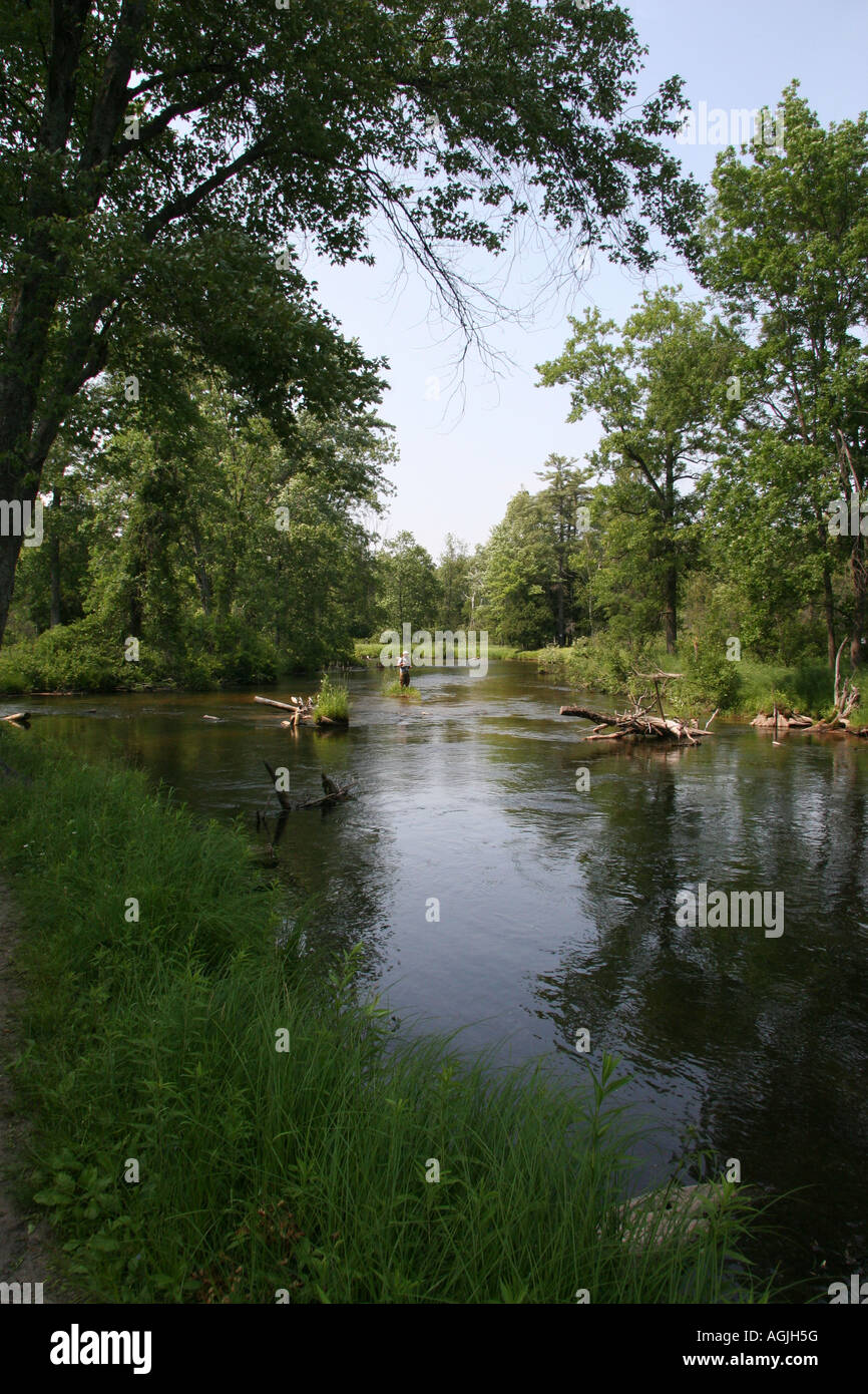 River Little Manistee Michigan MI beautiful landscape overhead from ...