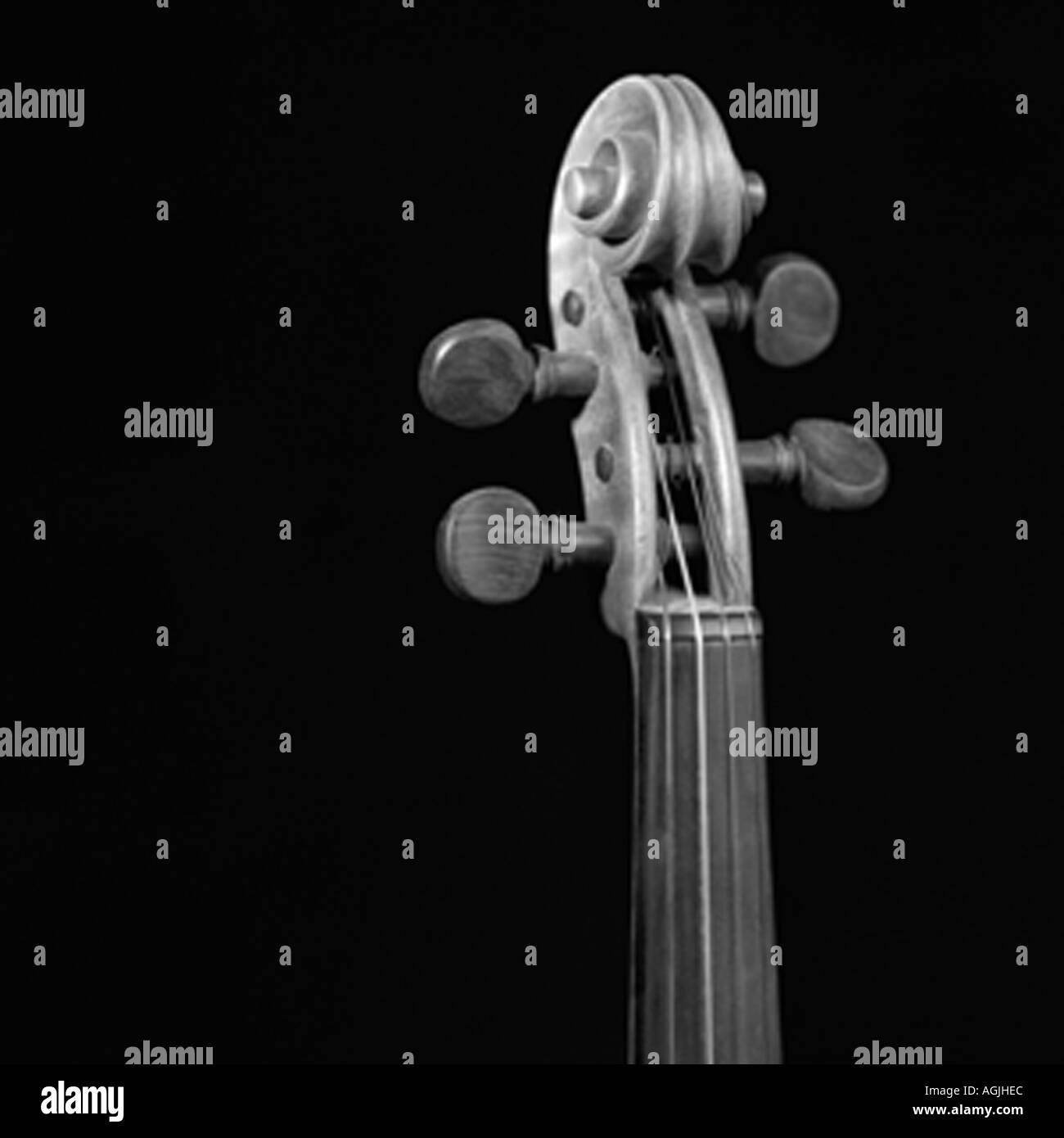 Scroll viola Black and White Stock Photos & Images - Alamy