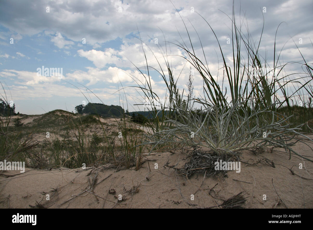 Beautiful rural landscape scenery outside horizon cloudscape MI USA ...