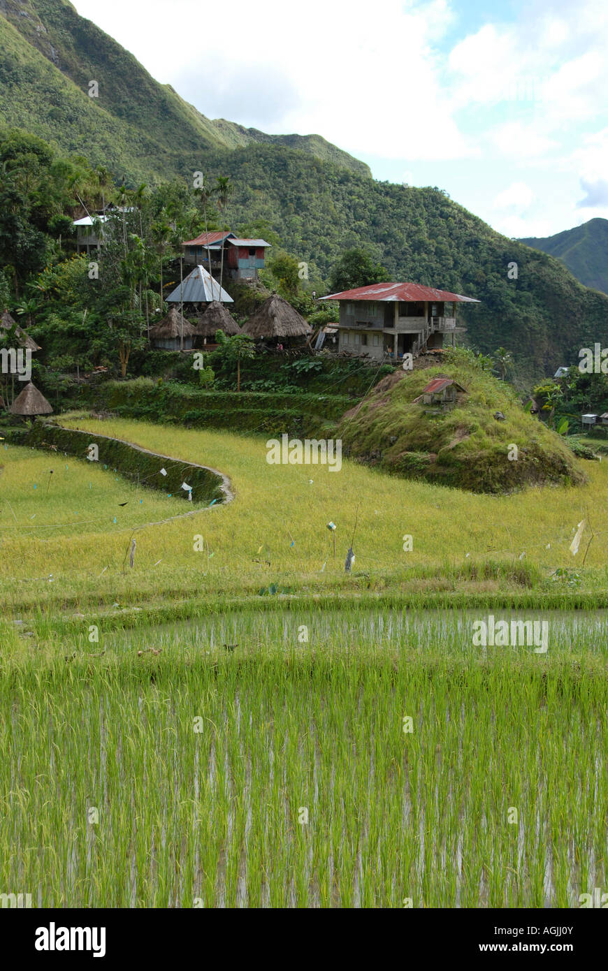Banaue rice terraces batad philippine cordilleras hi-res stock ...