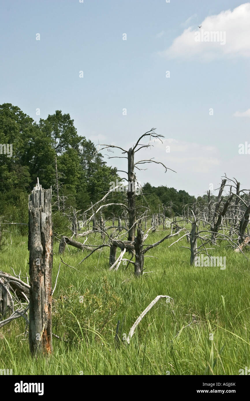 Disaster hi res hi-res stock photography and images - Alamy