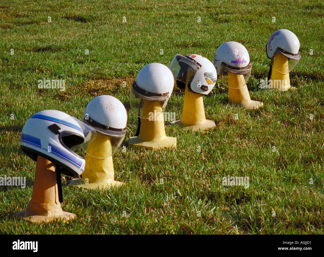 Funny crash helmet hi-res stock photography and images - Alamy