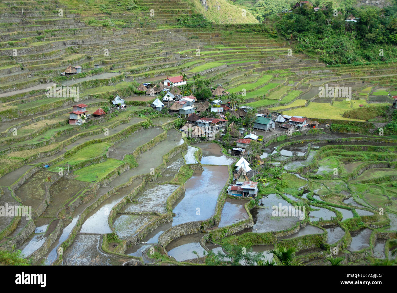 Banaue rice terraces batad philippine cordilleras hi-res stock ...