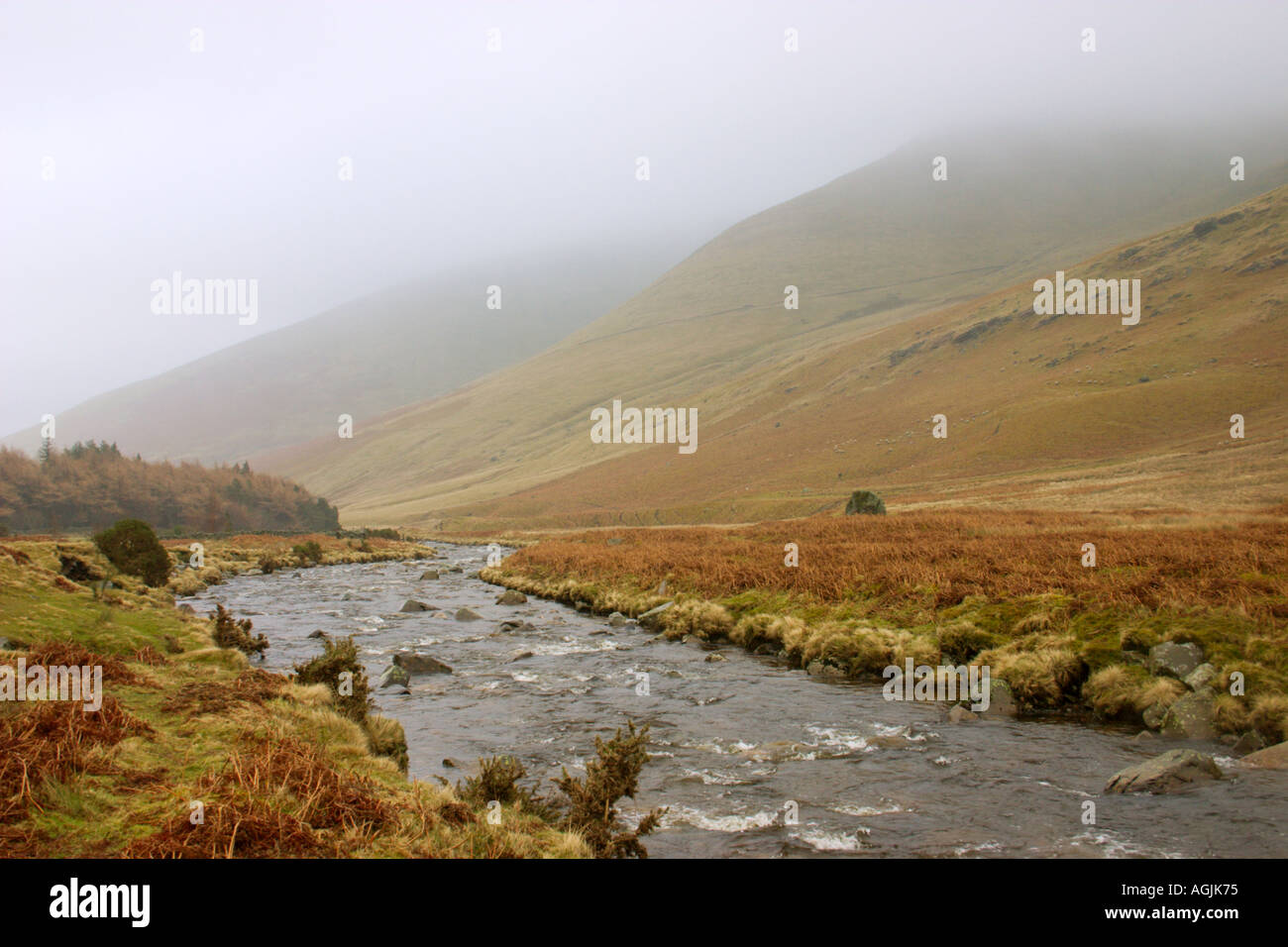River in the Lake District UK Stock Photo - Alamy