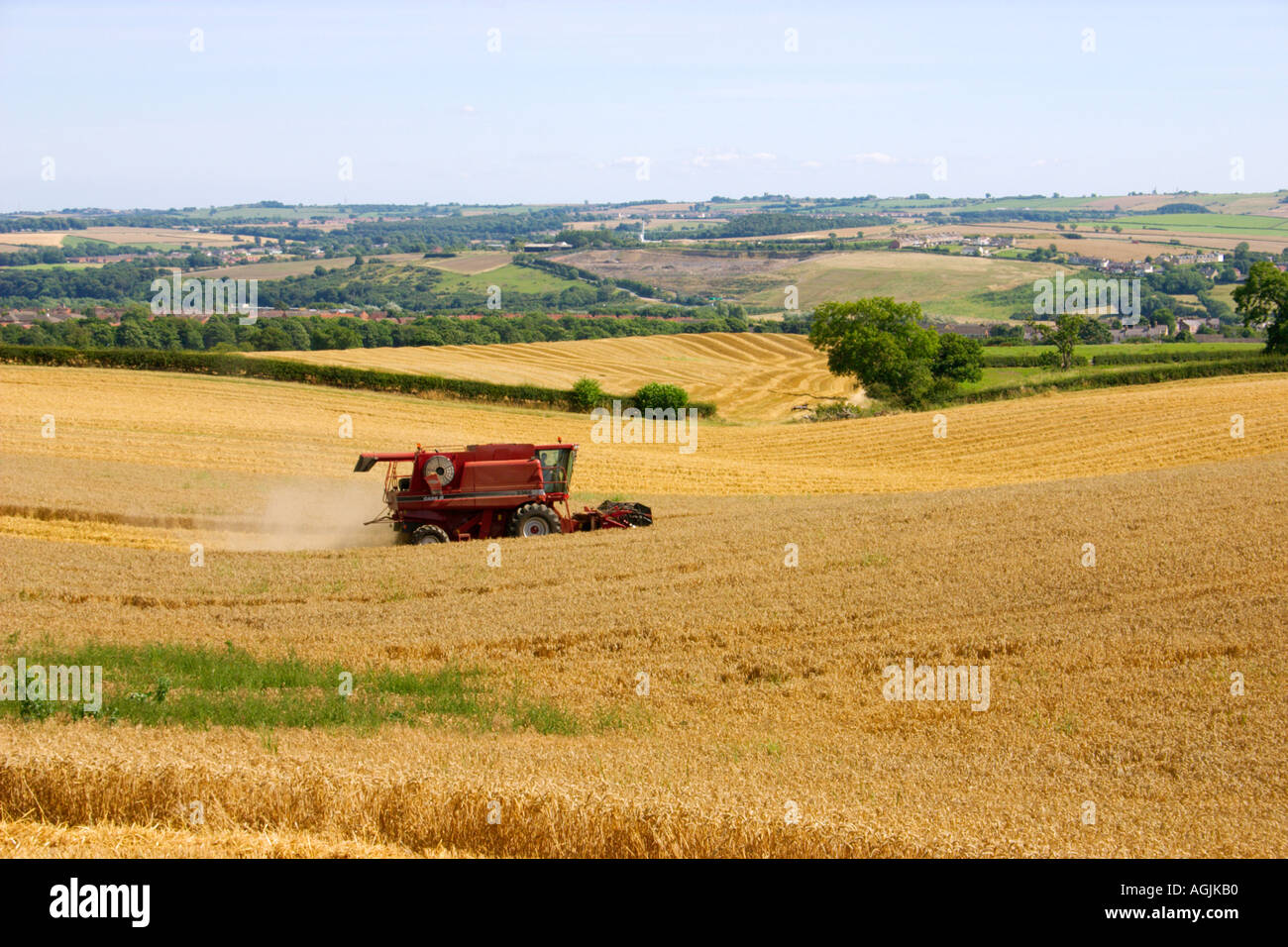 Wheat being harvested Stock Photo - Alamy